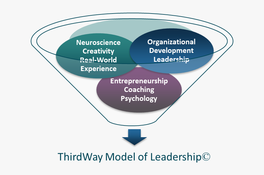 Funnel - Leadership Theory Of Entrepreneurship, HD Png Download ...