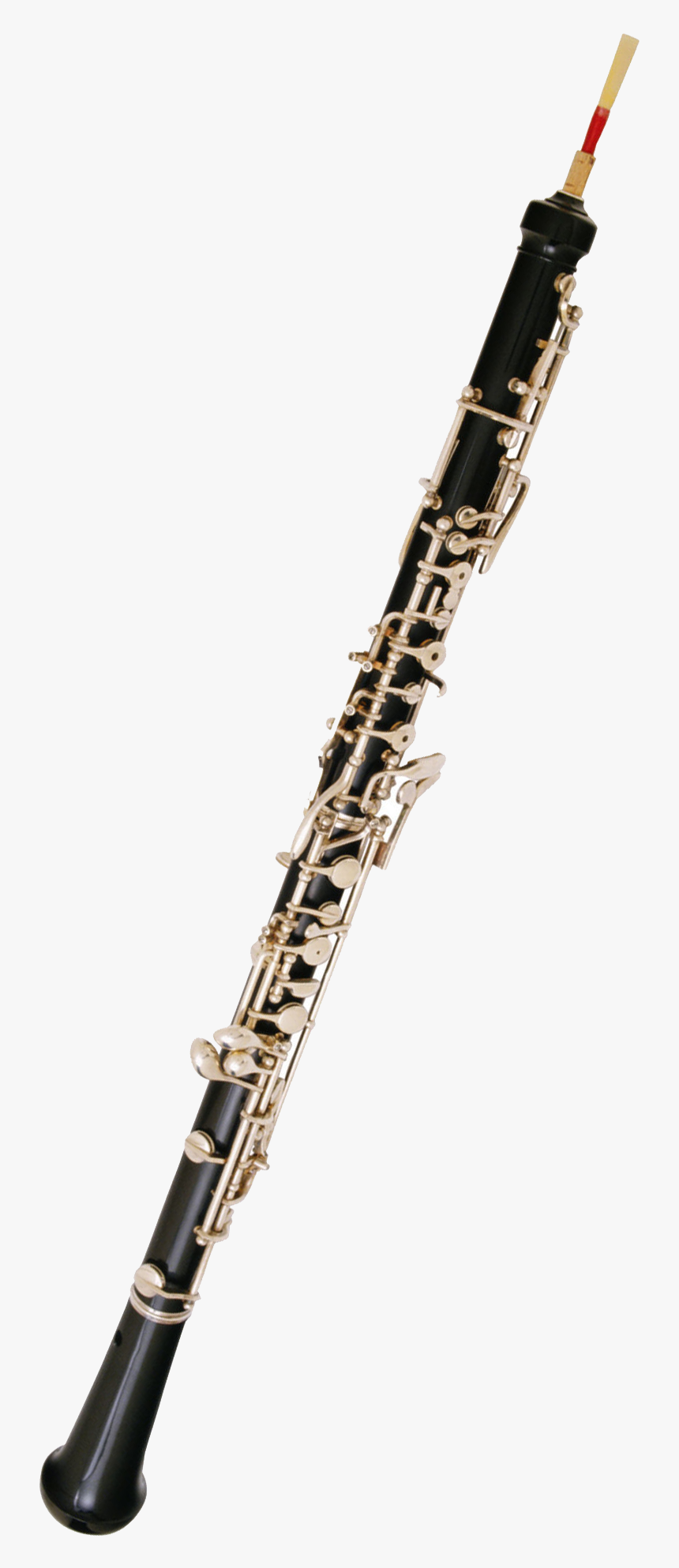 Transparent Oboe Clipart - Oboe With No Background, HD Png Download ...