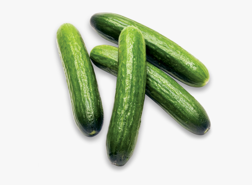 Mini Cucumbers - Cucumber, HD Png Download , Transparent Png Image ...