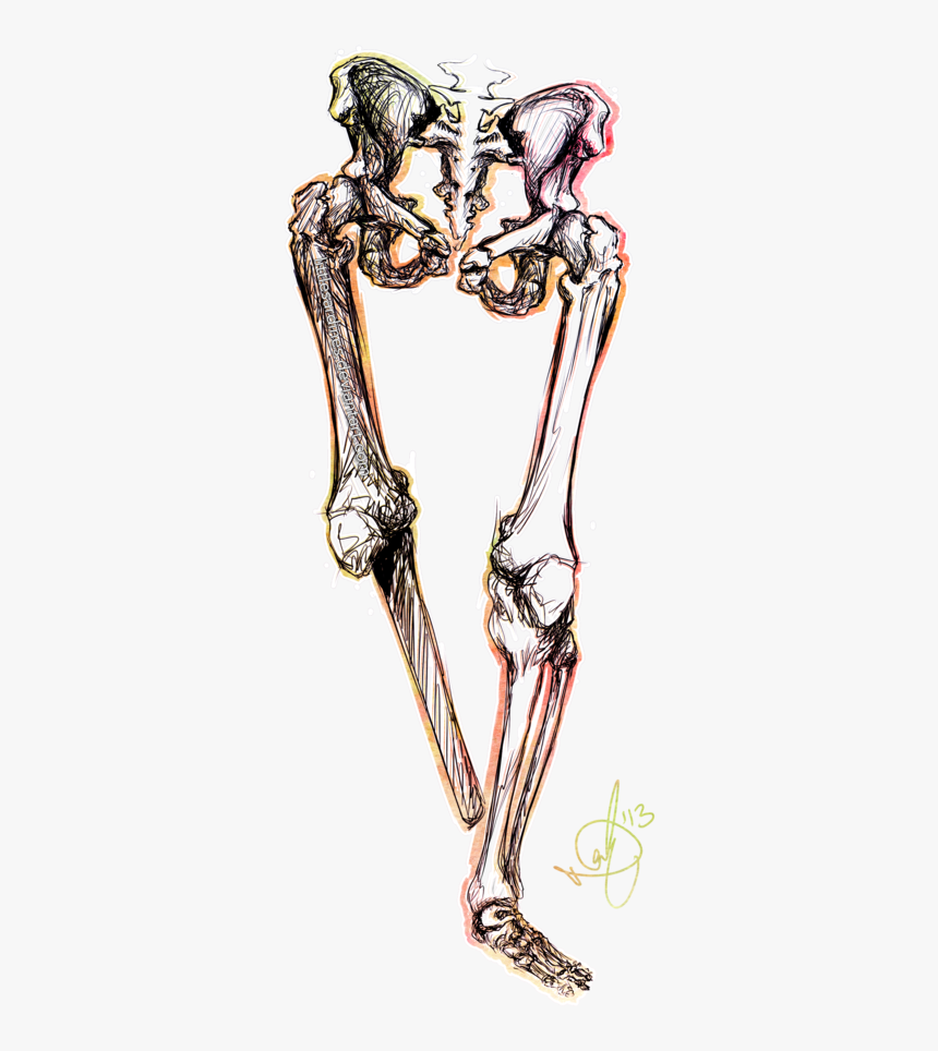Skeleton Leg Png, Transparent Png , Transparent Png Image - PNGitem
