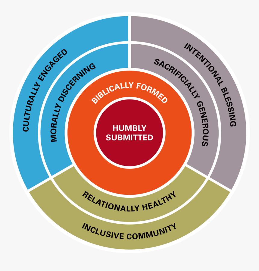 Anatomy Of A Disciple Circles, HD Png Download , Transparent Png Image ...