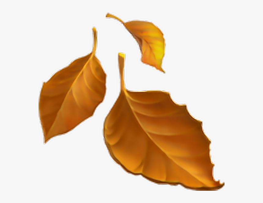 Autumn Leaves Clipart Emoji - Fall Leaves Emoji Png, Transparent Png ...