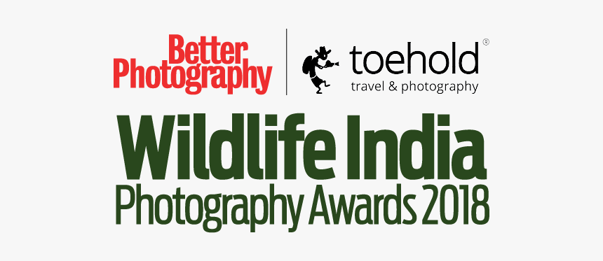 Better Photography, HD Png Download , Transparent Png Image - PNGitem