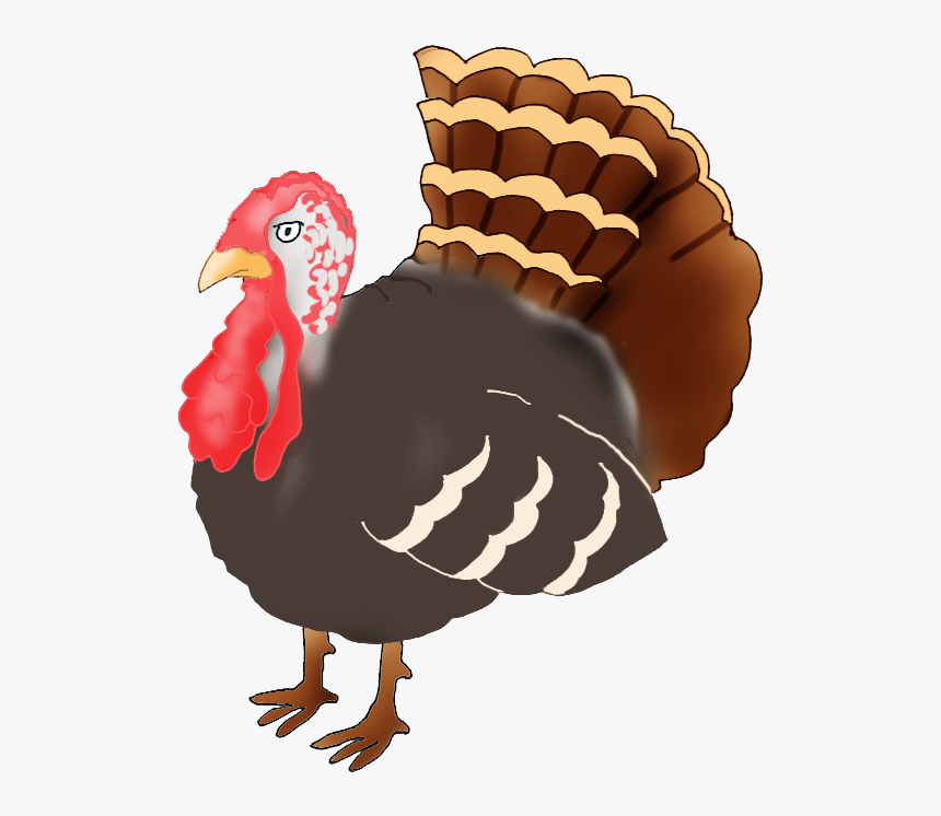 Transparent Turkey Clipart - Turkey Drawing Png, Png Download ...