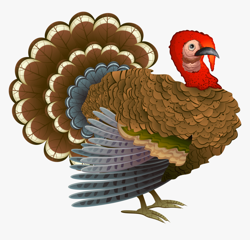 Download Images Background Toppng Transparent Background - Turkey ...