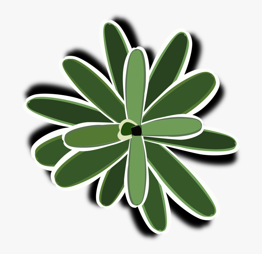 Plant,flora,leaf, HD Png Download , Transparent Png Image - PNGitem