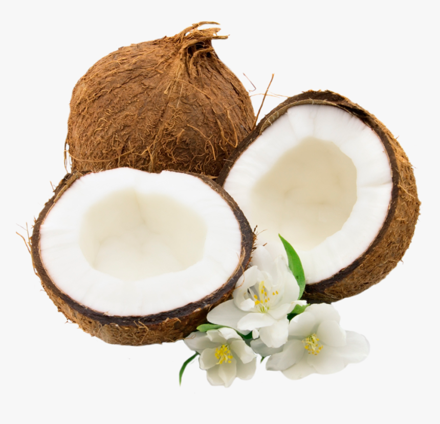 Transparent Coconut Clipart - Coconut Png, Png Download , Transparent ...