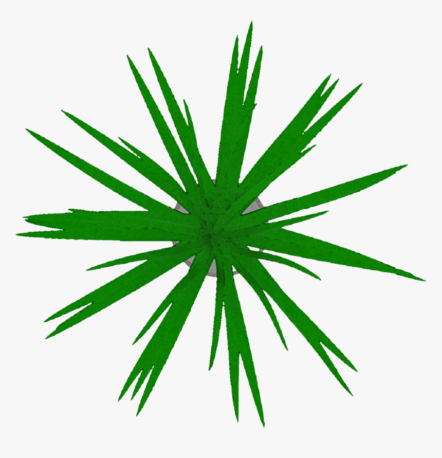 Top View Png Plant, Transparent Png , Transparent Png Image - PNGitem