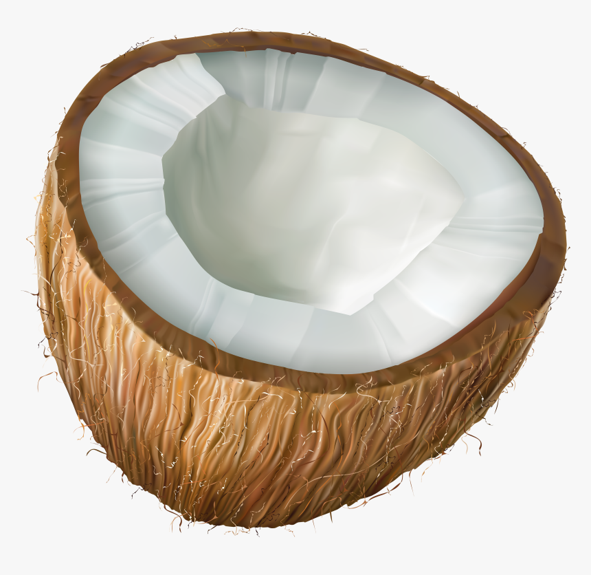 Transparent Coconut Bra Png - Transparent Background Coconut Clipart ...