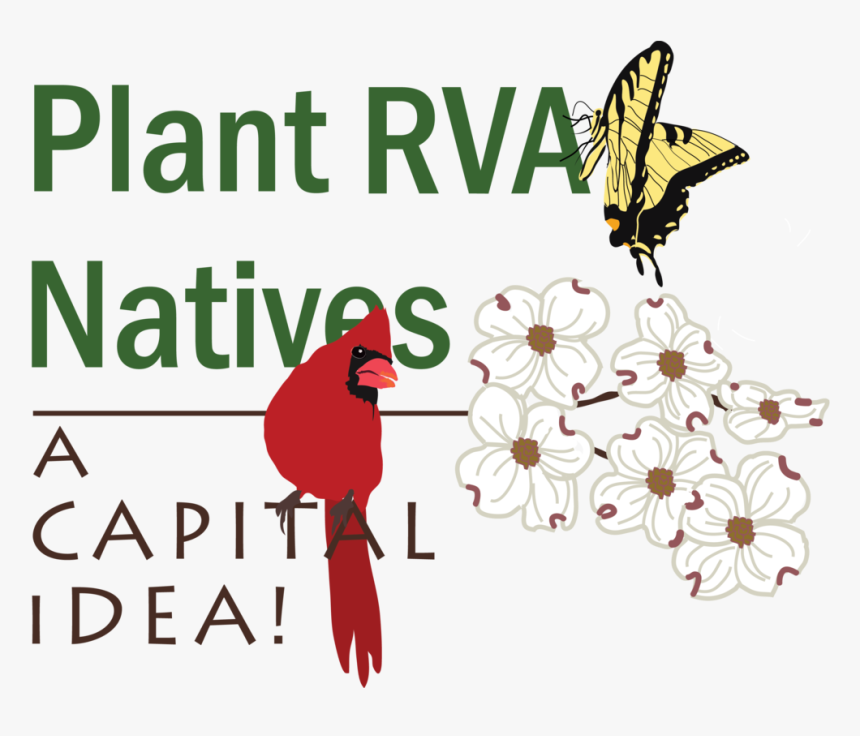 Plant Rva Natives A Capital Idea Logo - Illustration, HD Png Download ...