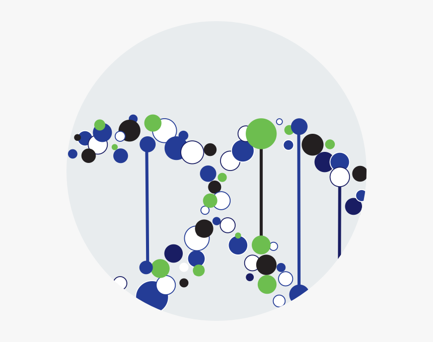 Pharmacology Clip Art Free, HD Png Download , Transparent Png Image ...