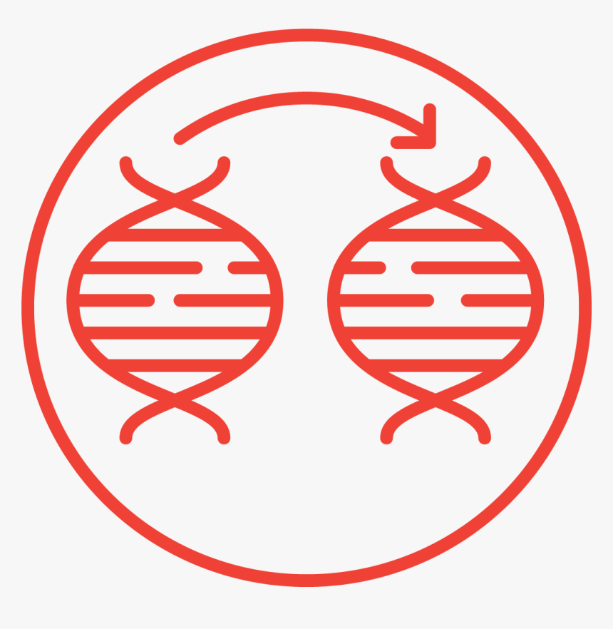 Gene Mutation Icon, HD Png Download , Transparent Png Image - PNGitem