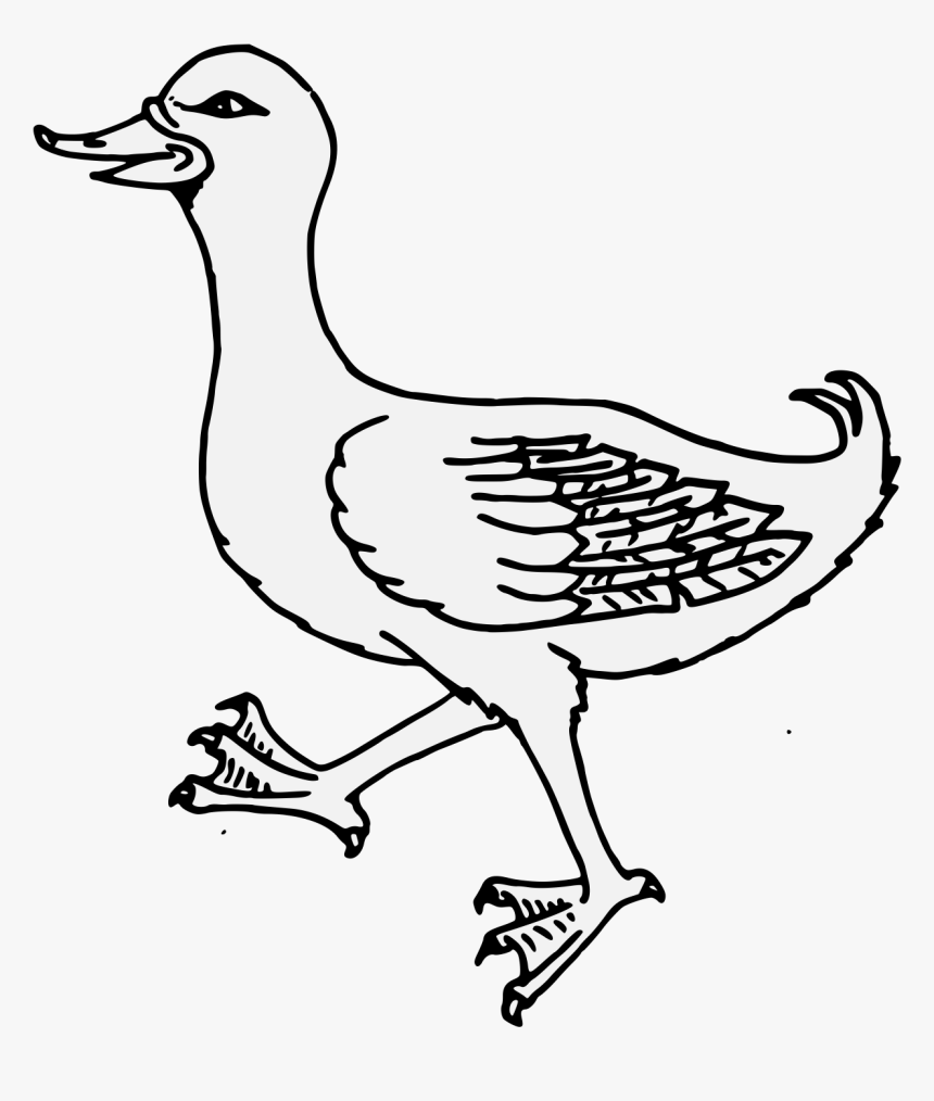 Traceable Ducks, HD Png Download , Transparent Png Image - PNGitem