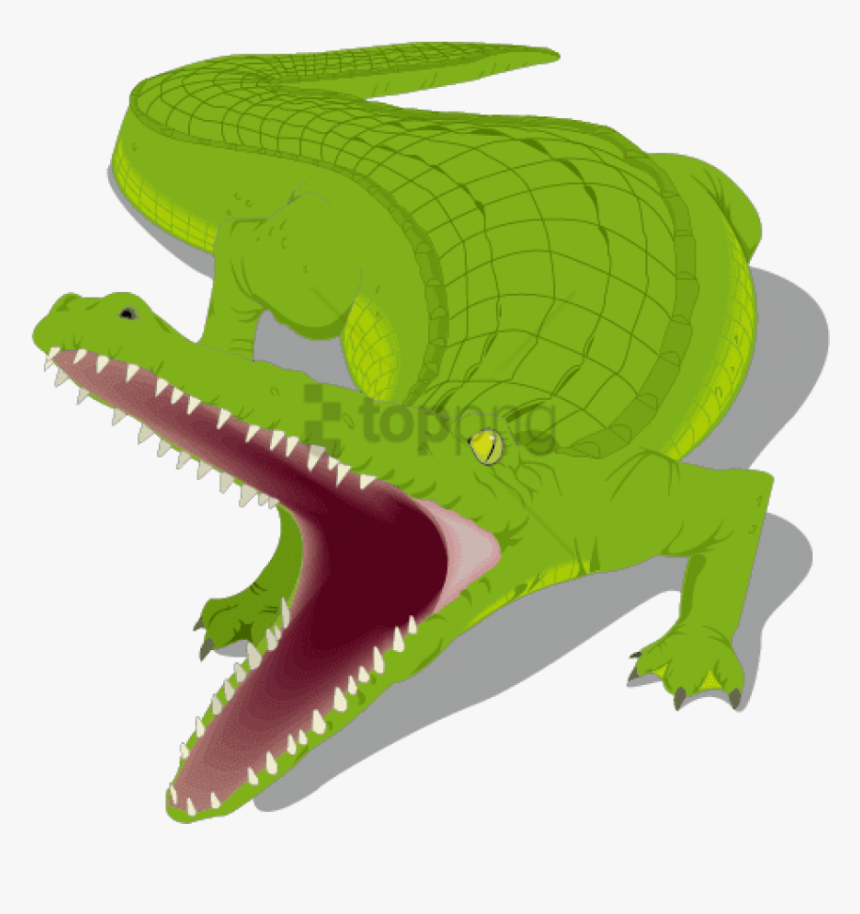Animated Alligator With Mouth Open