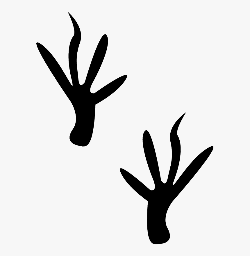 Mouse Tracks, HD Png Download , Transparent Png Image - PNGitem