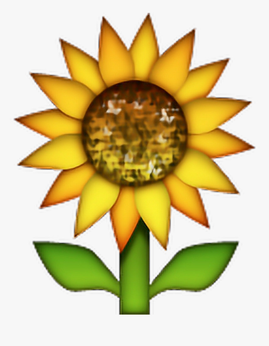 Sunflower Emoji Flowers Freetoedit - Sunflower Emoji Png, Transparent ...