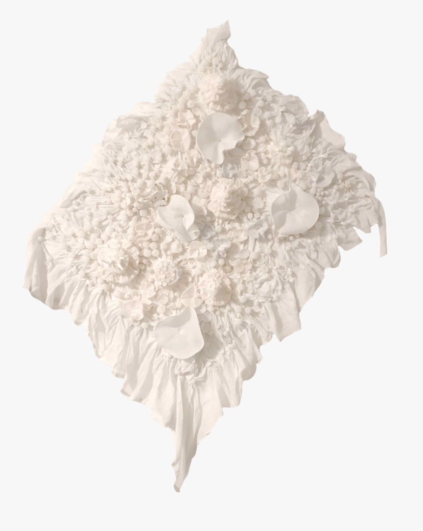 Shell, HD Png Download , Transparent Png Image - PNGitem