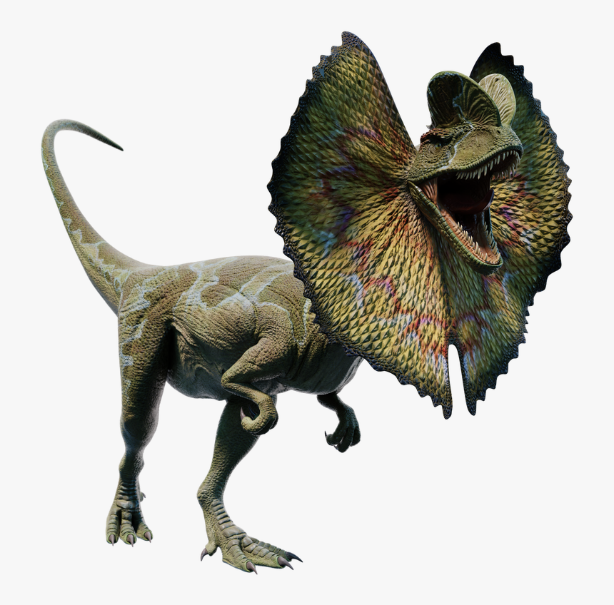 Jp Dilo, HD Png Download , Transparent Png Image - PNGitem