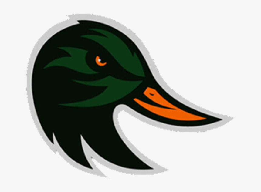 Cool Duck Logos