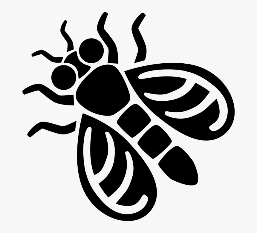 Vector Illustration Of Common Housefly Insect Fly - Song, HD Png ...