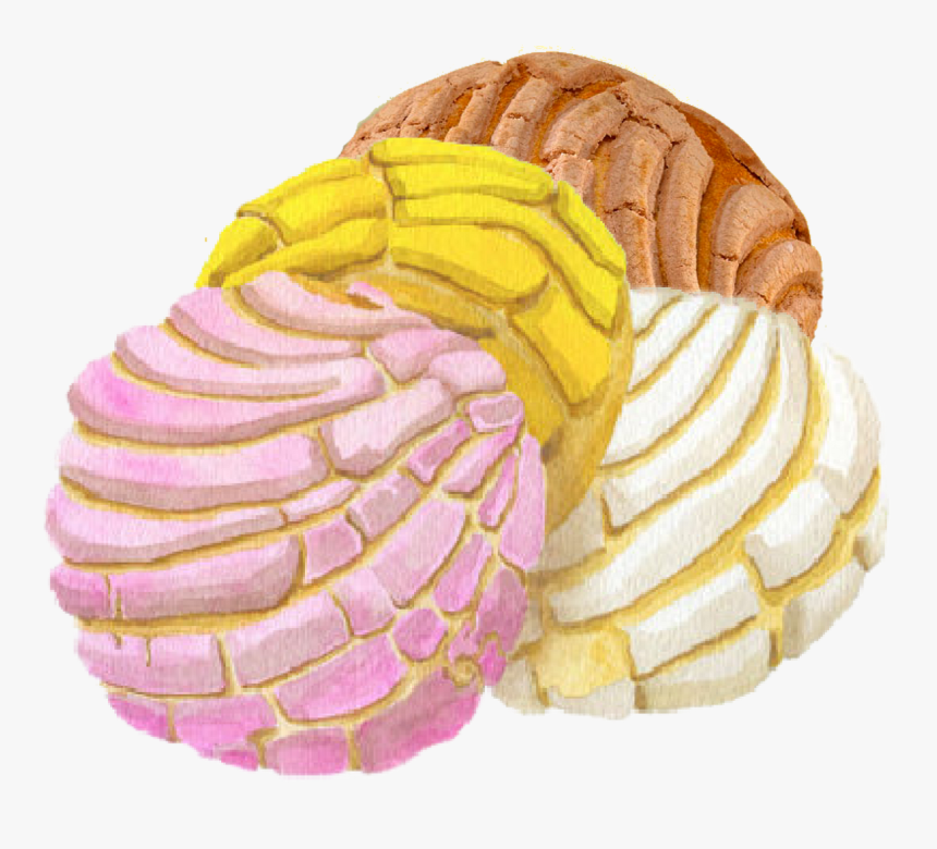 Concha Transparent, HD Png Download , Transparent Png Image - PNGitem