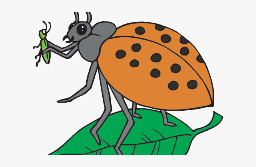 Scientist Clipart Insect - Cartoon, HD Png Download , Transparent Png ...