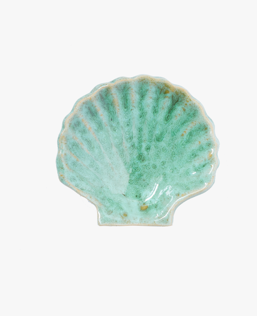 Shell, HD Png Download , Transparent Png Image - PNGitem