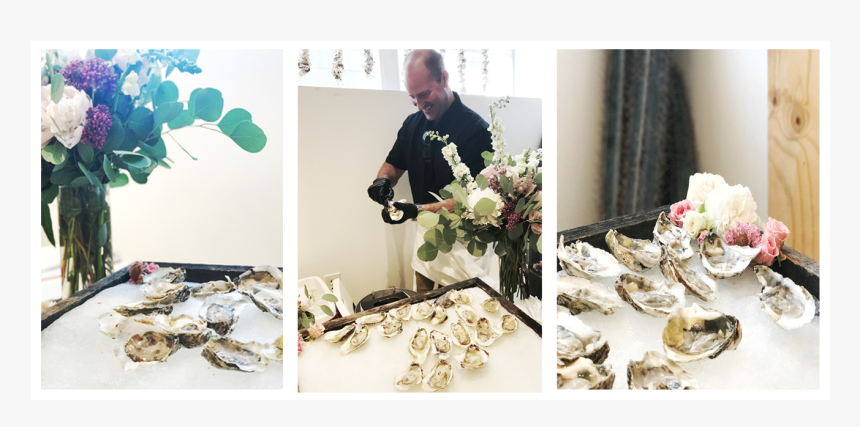 Summer Rae Png, Transparent Png , Transparent Png Image - PNGitem