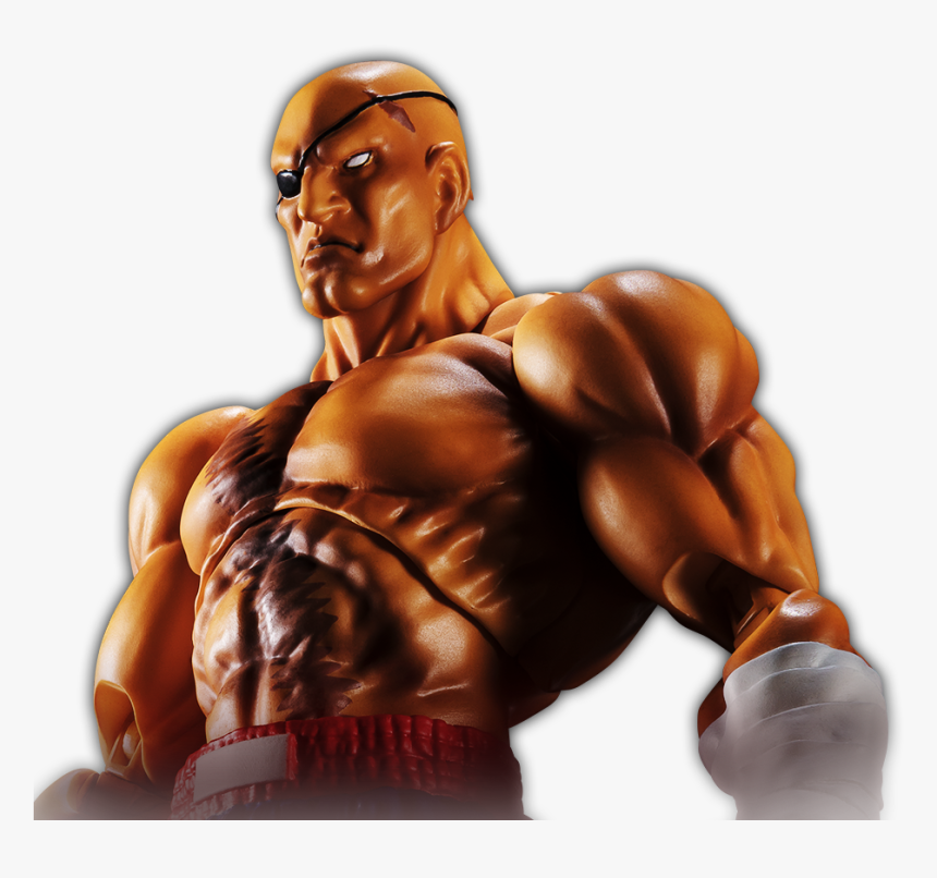 Sagat - Sh Figuarts Street Fighter Sagat, HD Png Download , Transparent ...
