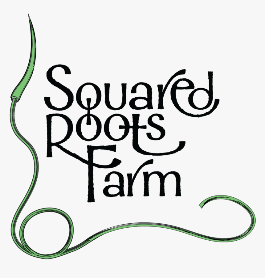 Squared Roots Farm Logos Alternate No Stroke - Calligraphy, HD Png ...