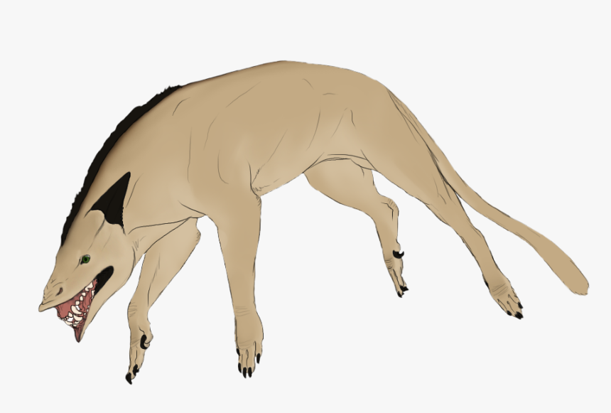 Shara2 - Longdog, HD Png Download , Transparent Png Image - PNGitem