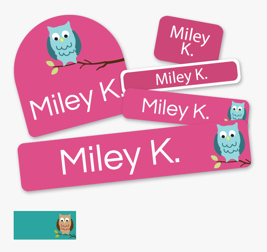 Back To School Personalized Owl Labels - Snowy Owl, HD Png Download ...