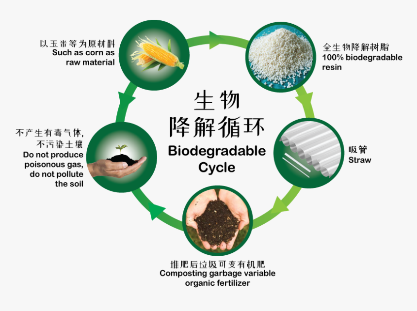 Biodegradable Cycle, HD Png Download , Transparent Png Image - PNGitem