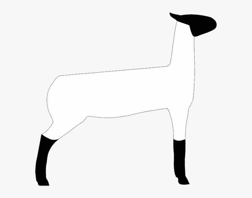 Show Lamb Clip Art, HD Png Download , Transparent Png Image - PNGitem