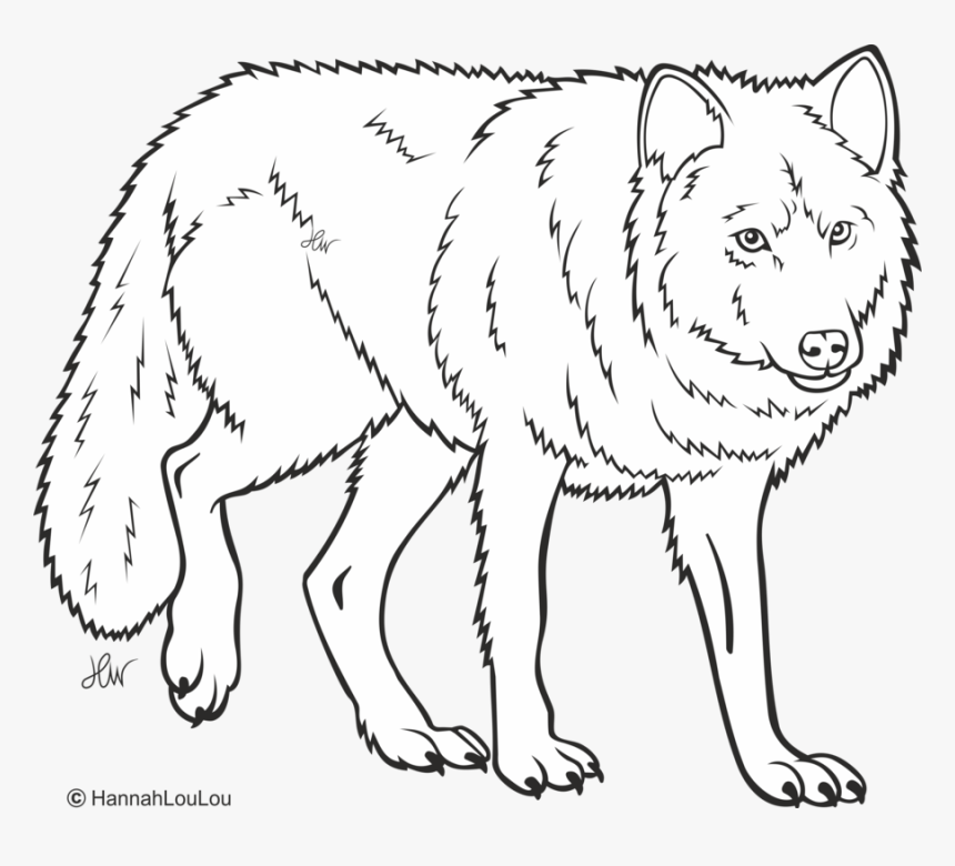 Wolf Line Drawing Png, Transparent Png , Transparent Png Image - PNGitem