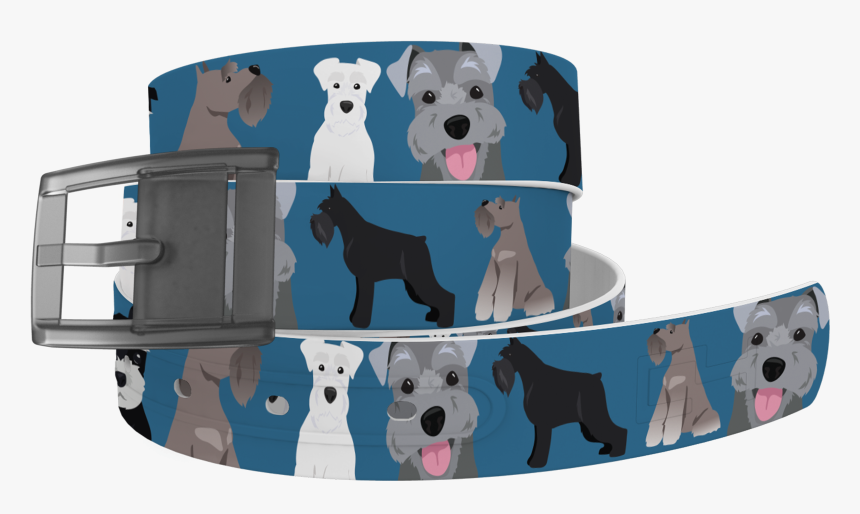 Belt, HD Png Download , Transparent Png Image - PNGitem