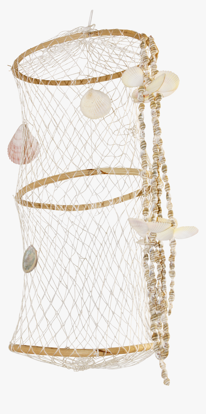 Fishing Clip Art Shell, HD Png Download , Transparent Png Image - PNGitem