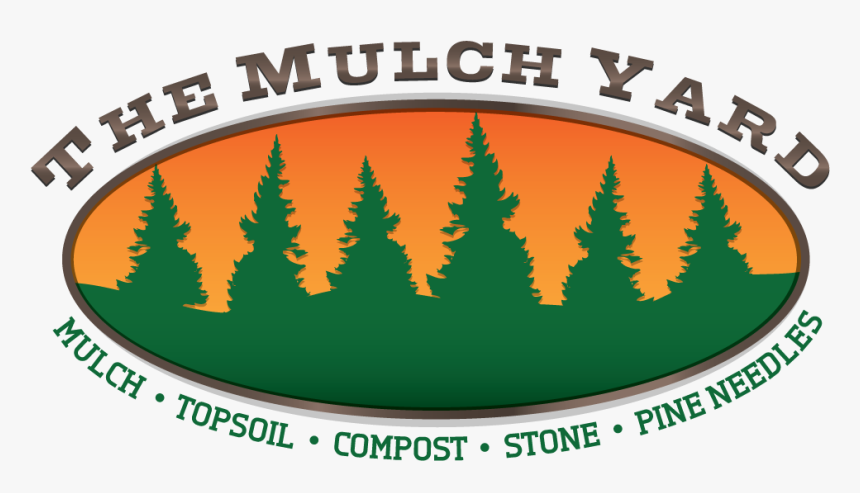 Colorado Spruce, HD Png Download , Transparent Png Image - PNGitem