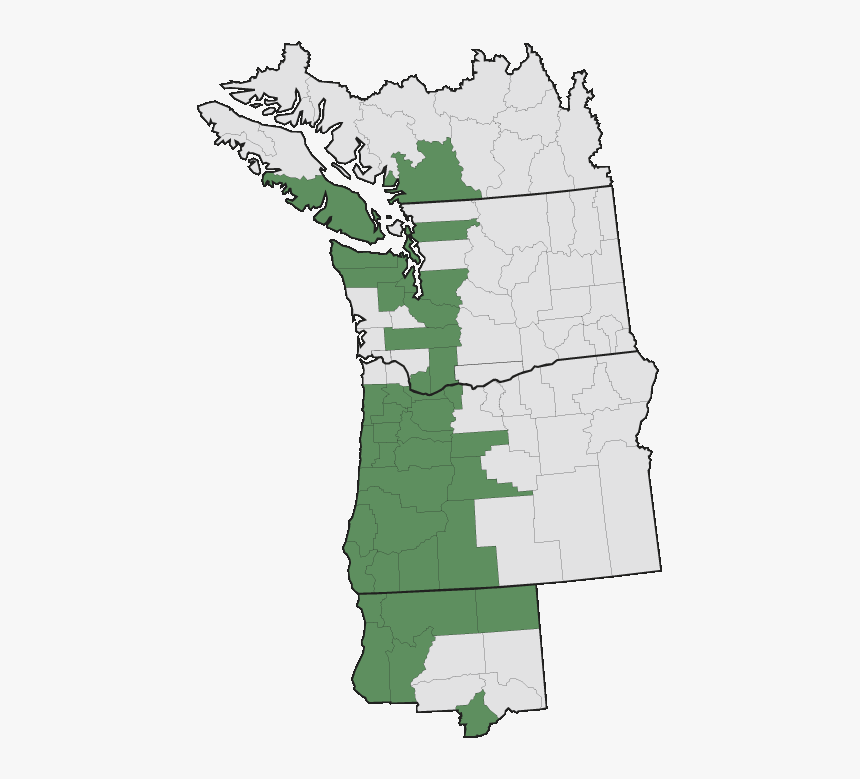 Evergreen Huckleberry Range Map, HD Png Download , Transparent Png ...