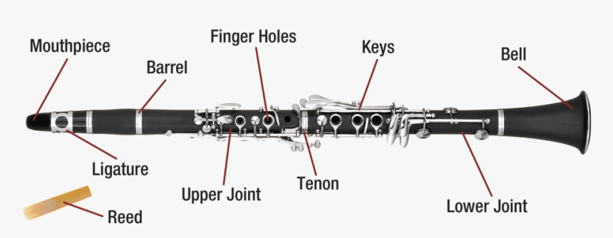 Parts Of A Clarinet With Diagram, HD Png Download , Transparent Png ...