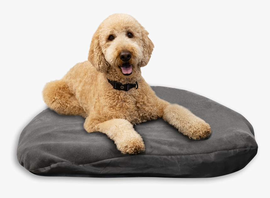 Dog Bed, HD Png Download , Transparent Png Image - PNGitem