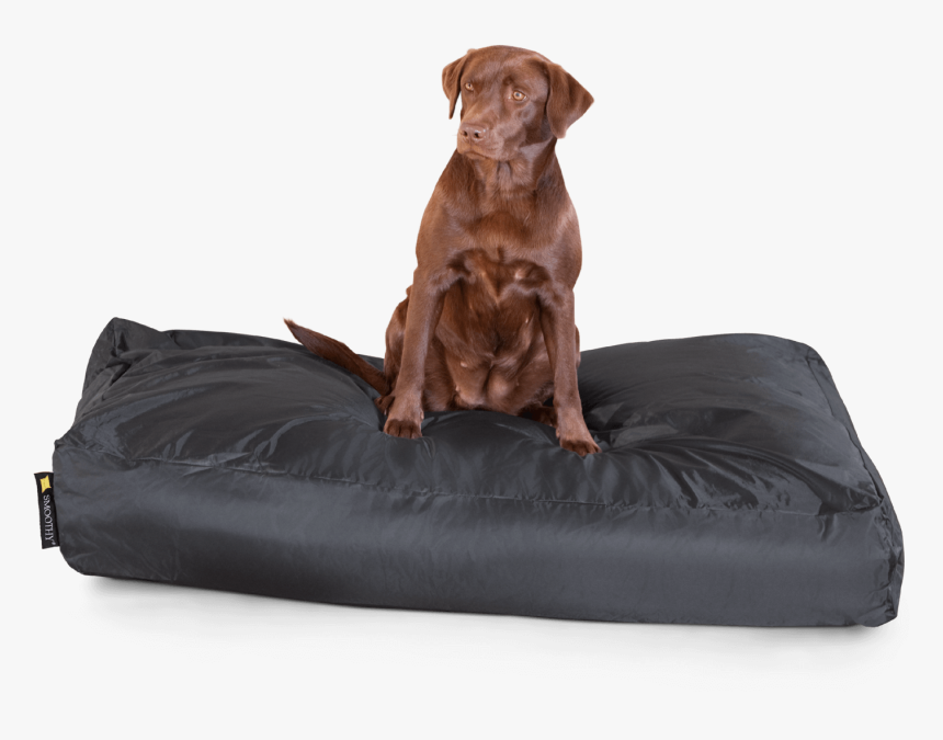 Smoothy Classic Dog Bed Xxl - Labrador Retriever, HD Png Download ...