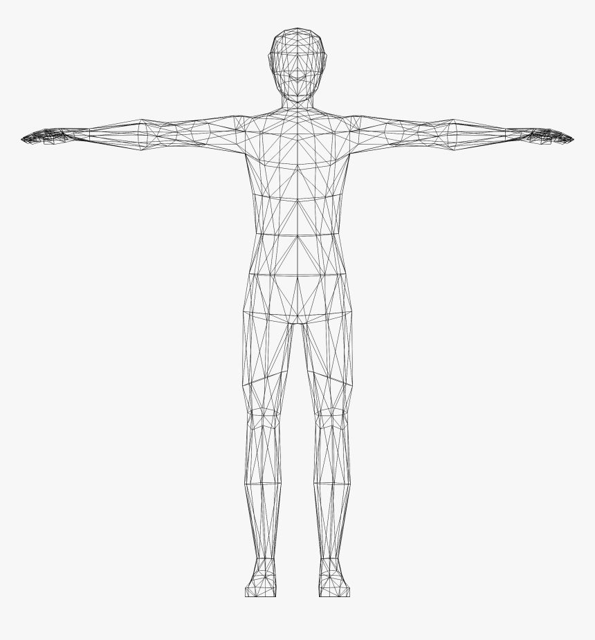 Humans Clipart Wireframe - Clipart Human Body, HD Png Download ...