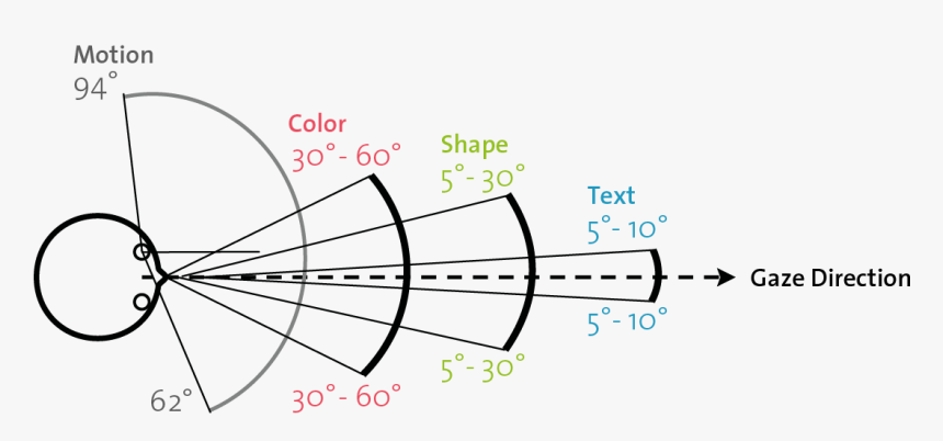 Visual Perception Human Fov - Fov Of A Human, HD Png Download ...