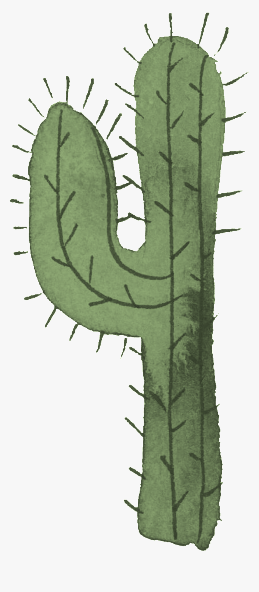 Transparent Desert Cactus Png - Acanthocereus Tetragonus, Png Download ...