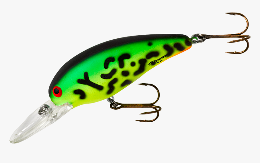 Fin, HD Png Download , Transparent Png Image - PNGitem