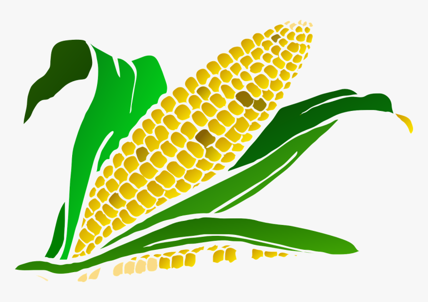 Clip Art Corn Maze, HD Png Download , Transparent Png Image - PNGitem
