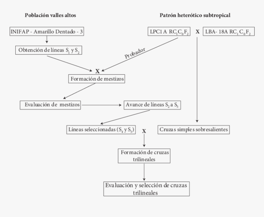 Formacion De Los Valles, HD Png Download , Transparent Png Image - PNGitem