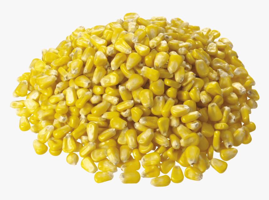 Corn Png, Transparent Png , Transparent Png Image - PNGitem