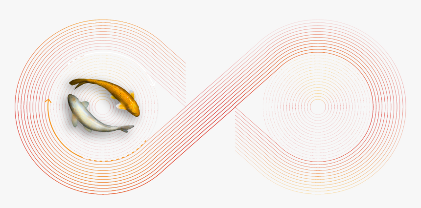 Combined - Circle, HD Png Download , Transparent Png Image - PNGitem